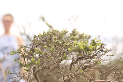 Focus-shifter GIFs - Get the best GIF on GIPHY