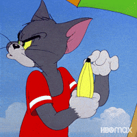 Tom And Jerry Fighting Gif