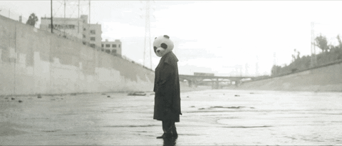 Scared Panda Gif