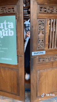 Like A Boss Walk Gif