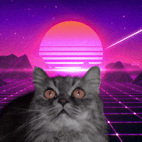 Space Cat Gifs