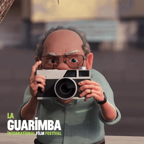 Paparazzi Cameras Gif