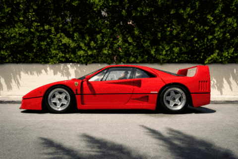 F40 GIF by CURATED - Find & Share on GIPHY