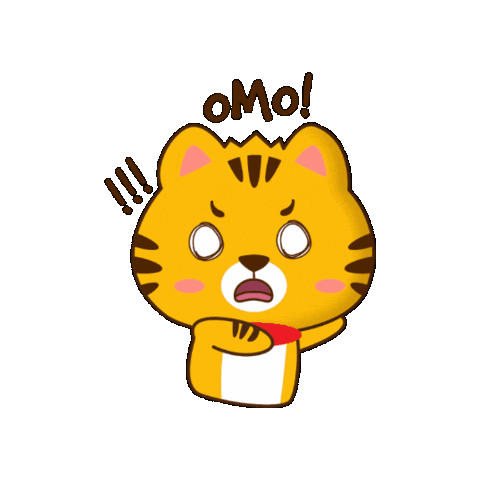 Omg Cat Animated Gif