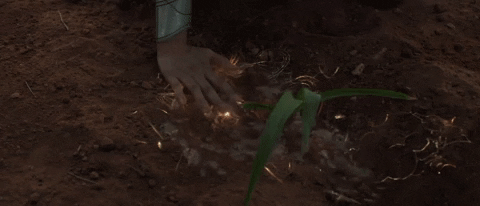 Eternals Teaser by Leroy Patterson | GIPHY