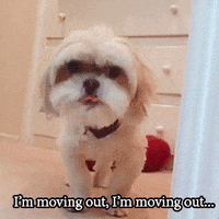 Im Moving On Gif