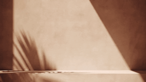 Follicle GIFs - Get the best GIF on GIPHY