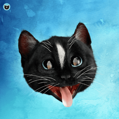 Cat Ice Cream GIFs - Get the best GIF on GIPHY