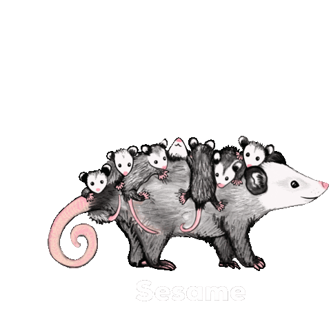 Possum Clip Art Dancing