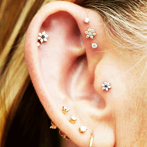 Conch Piercing GIFs - Get the best GIF on GIPHY