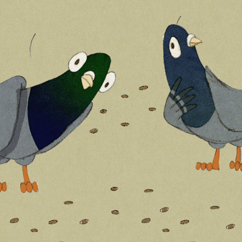 Team Pom GIFs GIFs on GIPHY - Be Animated