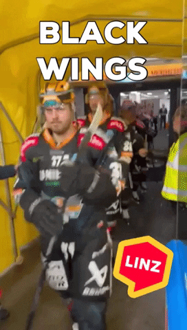 Blackwings GIFs - Get the best GIF on GIPHY