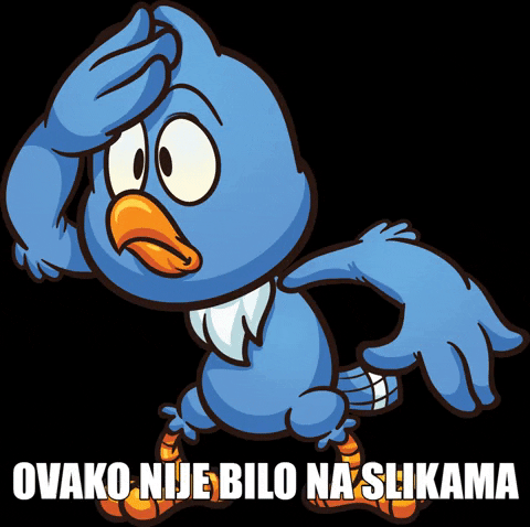 Ptica GIFs - Get the best GIF on GIPHY