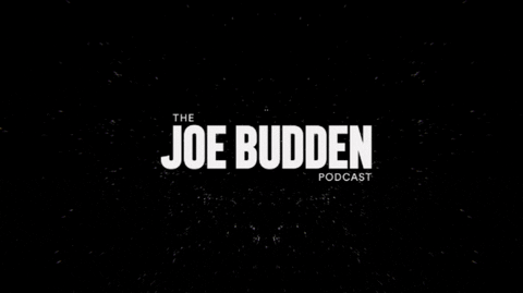 The Joe Budden Podcast GIFs - Get the best GIF on GIPHY