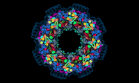 Protein Structure Gif