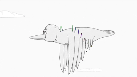 Bird Poo GIFs - Get the best GIF on GIPHY