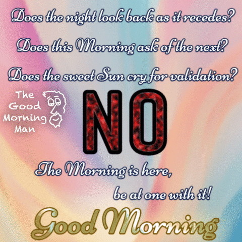 I SAID NO! NO NO NO!!! : r/goodmorning