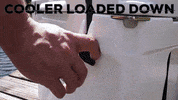 Cooler GIFs - Find & Share on GIPHY