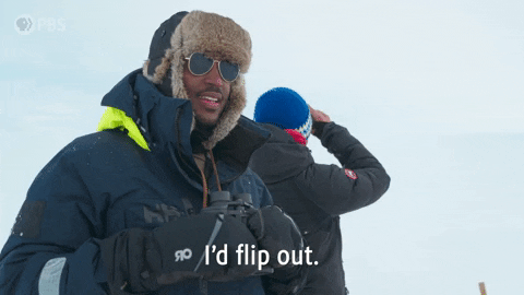 Flipping-out GIFs - Get the best GIF on GIPHY