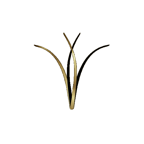 Gold Lash Sticker by Engels Wimpern - Find & Share on GIPHY