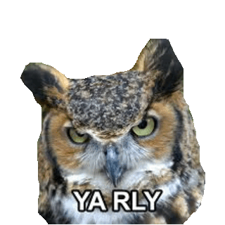 Ya Rly Stickers - Find & Share on GIPHY