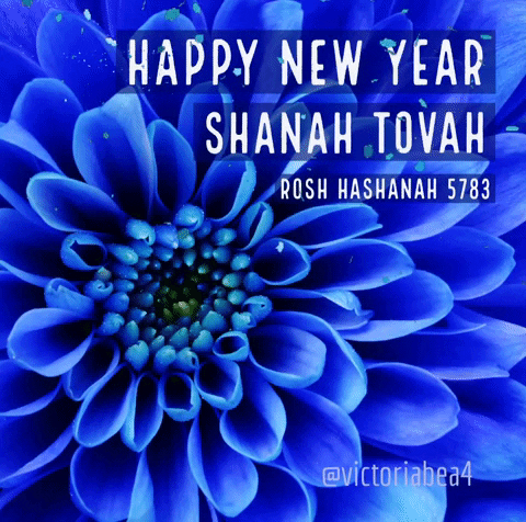 5783 GIFs - Find & Share on GIPHY