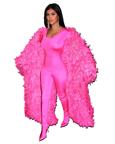 Boa Kim Stickers - Find & Share on GIPHY