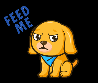Hungry Feed Me GIF by MyMorningDog - Find & Share on GIPHY