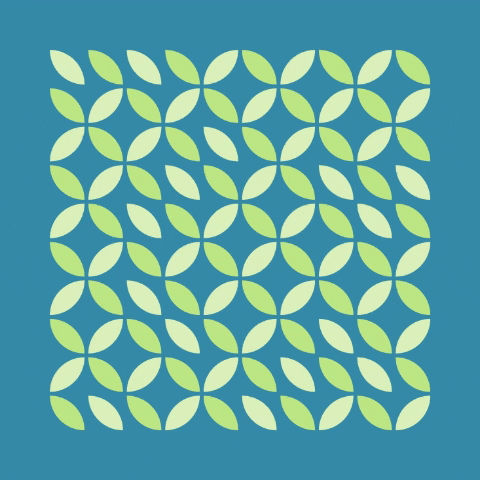 art coding GIF - Find & Share on GIPHY