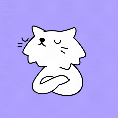 Cats No GIF by doodles - Find & Share on GIPHY