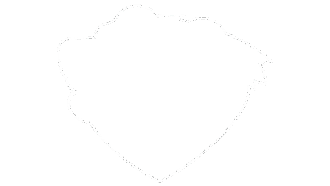 Washu Sticker by Washington University in St. Louis for iOS & Android ...