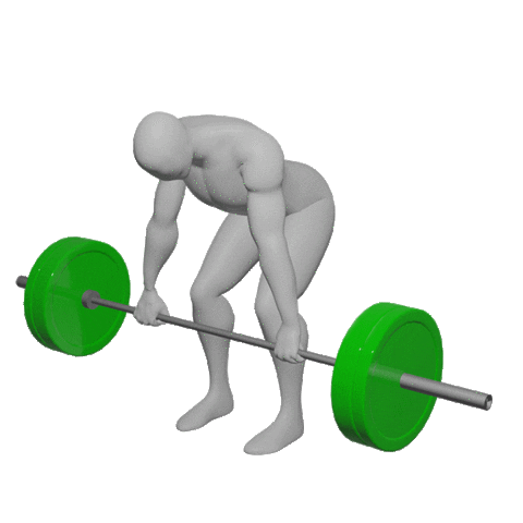 Barbell Row Stickers - Find & Share on GIPHY