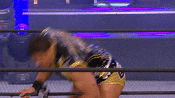 Rob Gronkowski Dancing GIF by WWE