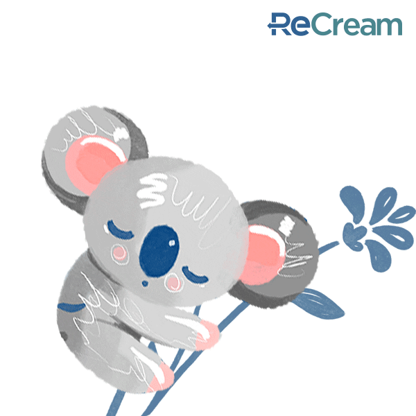 Koala Pisik Sticker by ReCream - Find & Share on GIPHY