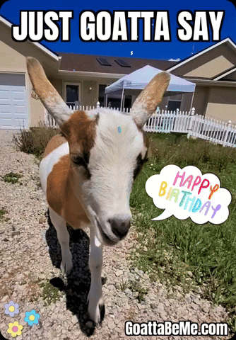 Happy Birthday Pets GIF by Goatta Be Me Goats! Adventures of Java ...