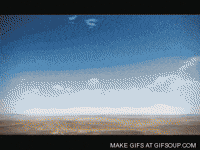 Man GIFs - Find & Share on GIPHY