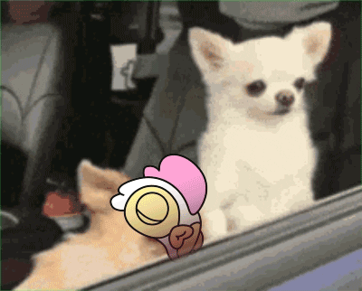 Waking Up What GIF by doodles - Find & Share on GIPHY