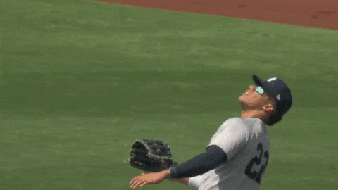 Fielding New York Yankees GIF by MLB - Find & Share on GIPHY