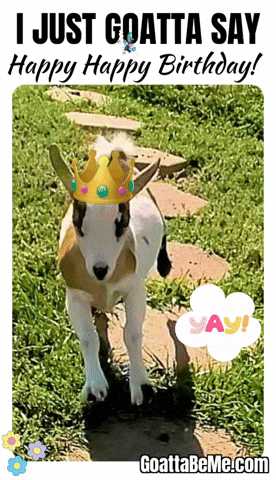 Happy Birthday Pets GIF by Goatta Be Me Goats! Adventures of Java ...