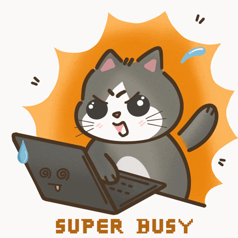 Cat Working GIF - Find & Share on GIPHY
