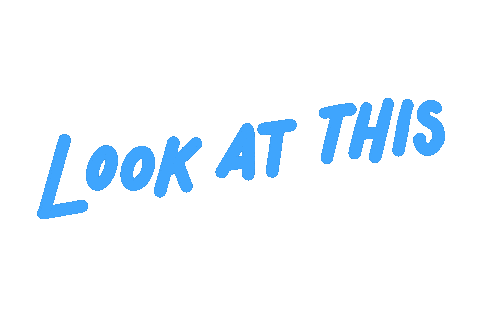Look No Further Stickers - Find & Share on GIPHY