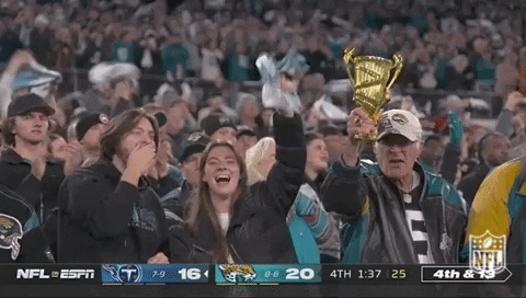 Jacksonville Jaguars Football GIF by NFL