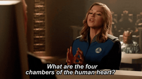Four Chambers Of The Human Heart GIFs - Find & Share on GIPHY