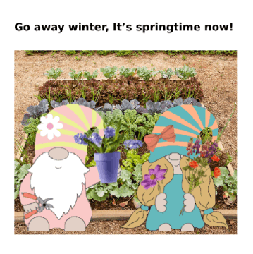 Flowers Gardening GIF - Find & Share on GIPHY