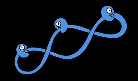 Infinity Snakes GIF by Motherbrainart - Find & Share on GIPHY