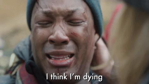 Omg Im Dying Here Clips - Find & Share on GIPHY