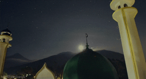 Java Namorados GIFs - Find & Share on GIPHY