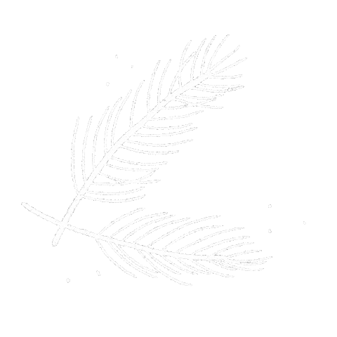 Christmas Twinkle Sticker by SNOCKS GmbH - Find & Share on GIPHY