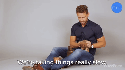 Really Slow Clips - Find & Share on GIPHY