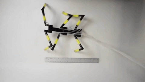 robot robotics GIF by Harvard University - Find & Share on GIPHY